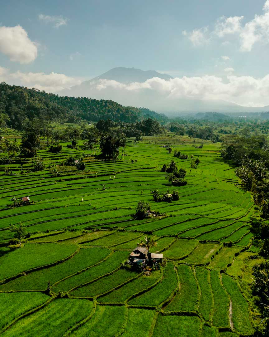 10 Tage Bali Rundreise: Geniale Route, Tipps & Kosten | Blog