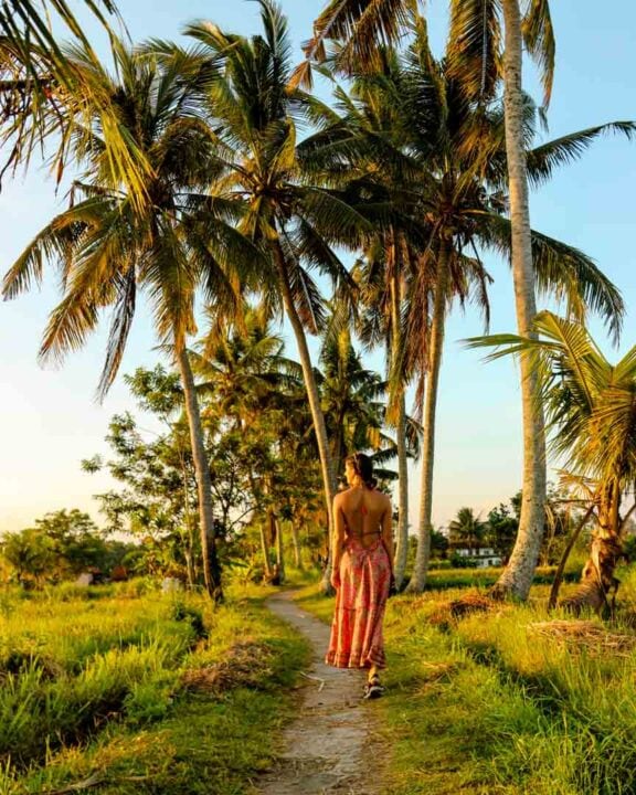 TOP 25 Ubud (Bali): Die besten Sehenswürdigkeiten & Wasserfälle