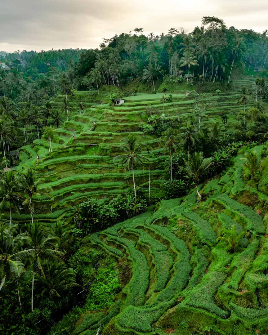 Indonesien Backpacking-Guide: Wichtige Tipps, Routen & Kosten!