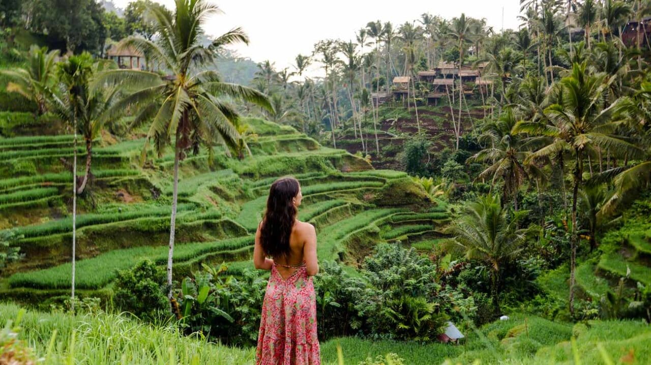 TOP 25 Ubud (Bali): Die besten Sehenswürdigkeiten & Wasserfälle