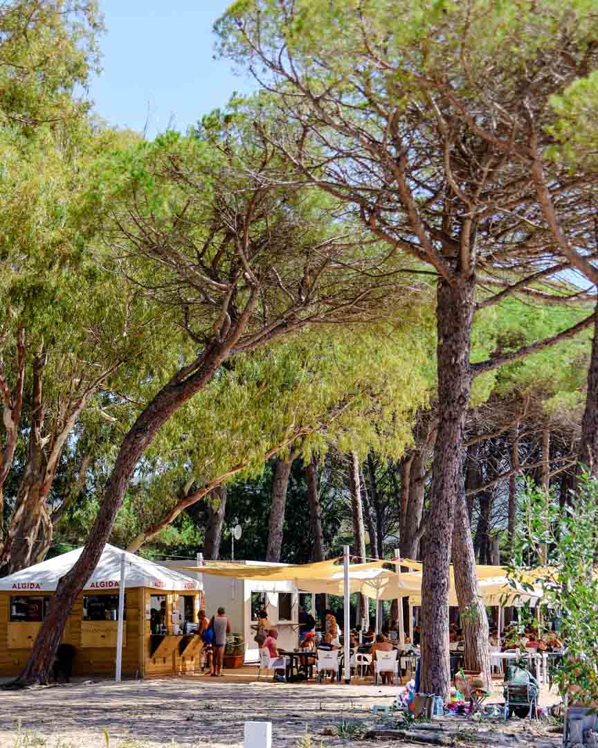 Alghero - TOP 20 Sehenswürdigkeiten & Tipps für deine Sardinien Reise!