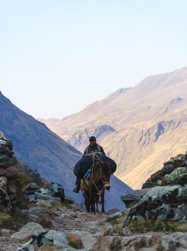 4-5 Tage Salkantay Trek in Peru: Alle Infos & unsere Erfahrung