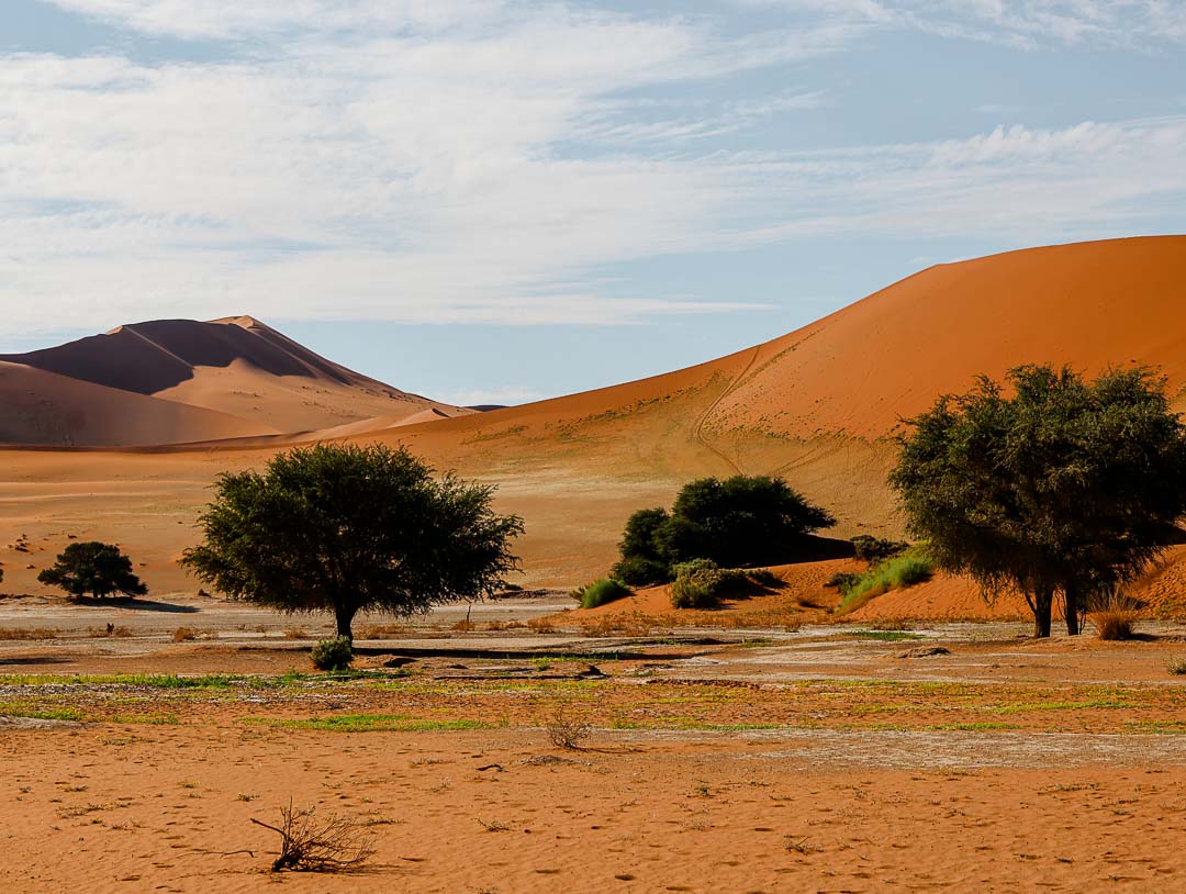 Namibia Reise als Selbstfahrer: Unsere Reisetipps | Blog