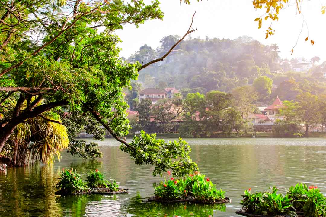 Kandy Highlights: Die 10 schönsten Sehenswürdigkeiten+ Tipps